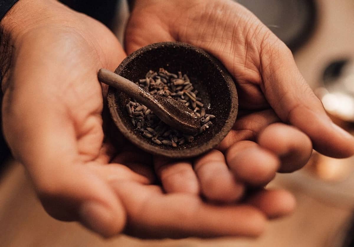 7 propiedades del comino: sabor y salud en tu plato