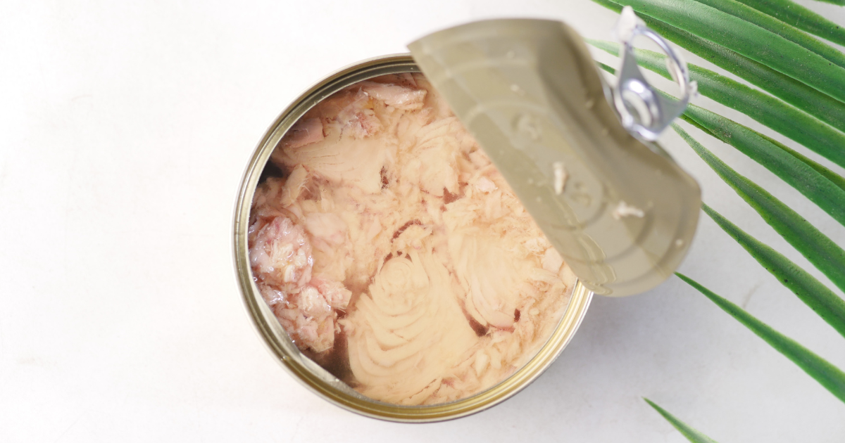 Propiedades del atún en lata qué proteínas agrega a tu dieta