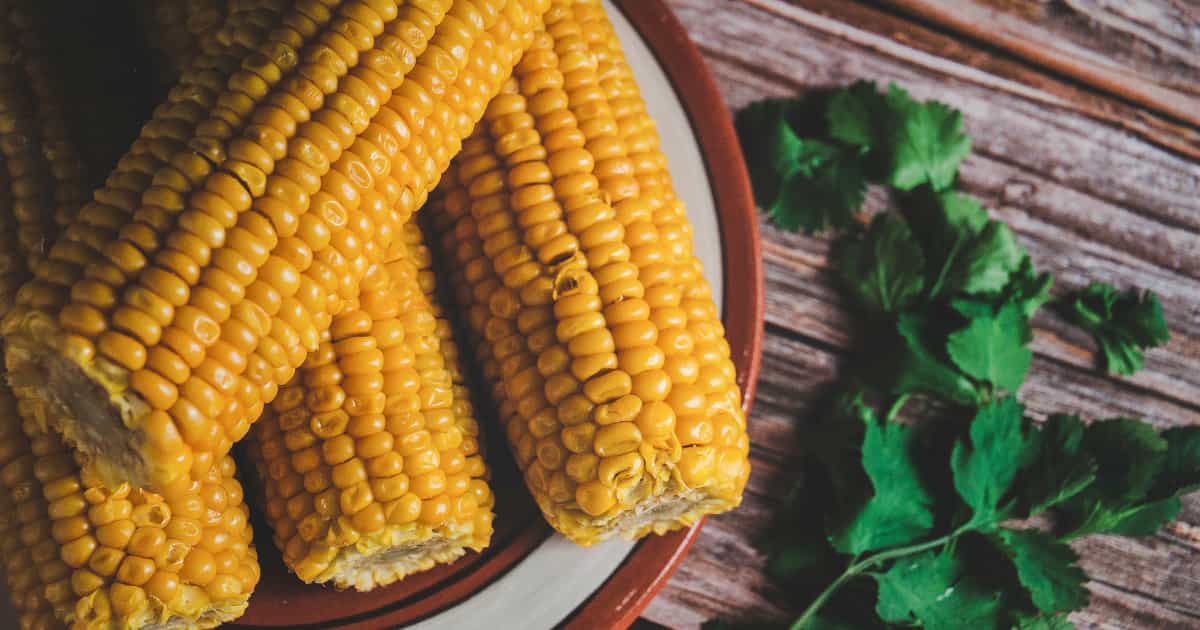 5 beneficios del choclo para sumarlo a la dieta