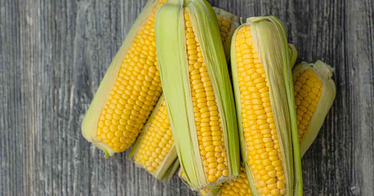 5 beneficios del choclo para sumarlo a la dieta