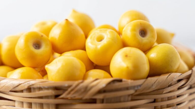 Qué es el nanche: beneficios de un fruto ideal para combatir las arrugas